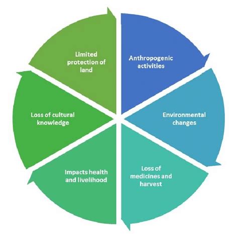 3 Interconnectedness Of Place And Human Activities Download Scientific Diagram