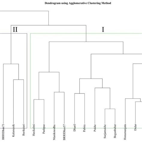 dendrogram from upgma clustering for 24 rice genotypes using euclidean