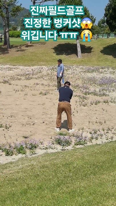 진짜필드골프😱골프레슨아이언레슨필드레슨골프골프존퍼터퍼팅퍼터레슨퍼팅레슨비거리레슨드로우샷페이드샷드라이버샷레슨루틴숏게임숏게임레슨필드숏게임루틴페이드