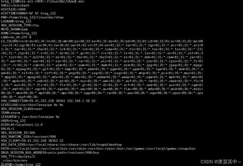 linux：命令行参数、环境变量与本地变量 linux的本地变量 csdn博客