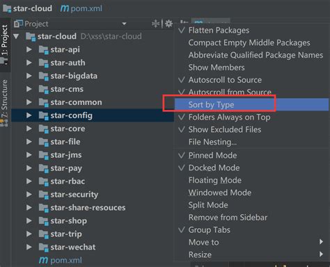 When Developing A Maven Project With Intellj Idea The Module Display