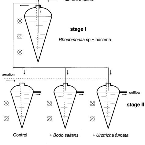 Diagram Of The System Arrangement Used In Both Experiments Download Scientific Diagram