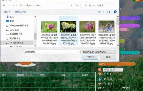 基于深度学习的花卉检测与识别系统（yolov5清新界面版，python代码）花卉识别 Yolo V5 Csdn博客
