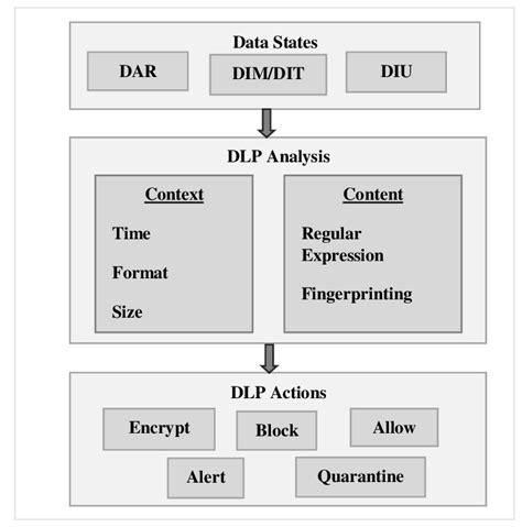DLP Solution Layout 6 Download Scientific Diagram