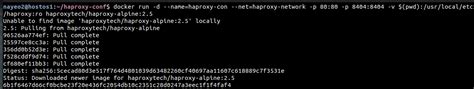 [docker] haproxy