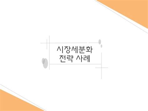시장세분화전략 사례 보고서