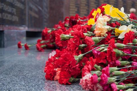 Wat Ga Jij Doen Op Bevrijdingsdag Huren In Rhapsody