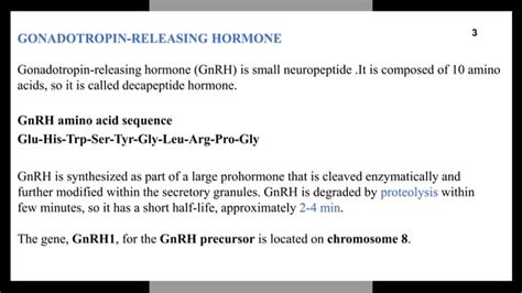 Male Sex Hormones Biosynthesisfunctions Pptx