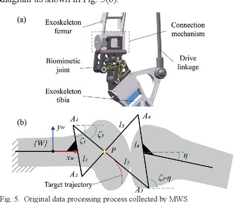 Figure 1 From A Novel Method For Personalized Custom Design Of Exoskeleton Knee Joint Semantic