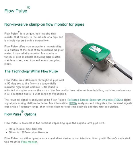 Flow Monitor Megatron Electronics And Controls