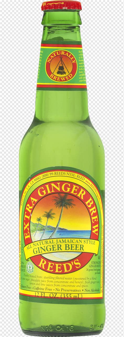 Ginger Beer Ginger Ale Liqueur Beer Bottle Beer Png Pngwing