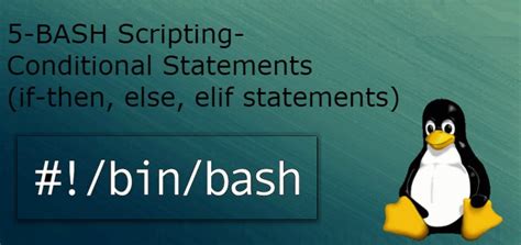 5 Bash Scripting Conditional Statements If Then Else Elif