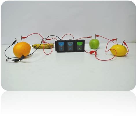 Voltage Logger Sensor NUL 201 NeuLog Sensors