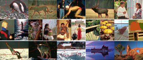 figure 1 from graph based image segmentation using weighted color patch