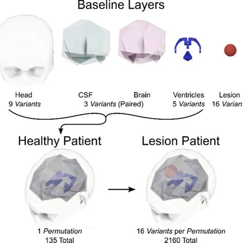 Fem For A Healthy Patient With Baseline Layers Csf Is Blue Brain Is Download Scientific