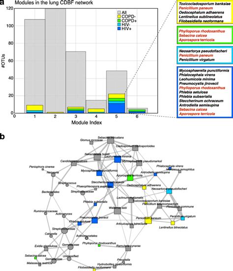 Lung Microbiome Modules And Hiv Infectioncopd Status A Assignment Of Download Scientific