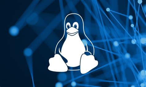 How To Fix Rm Cannot Remove File Device Or Resource Busy Amar IT Tech