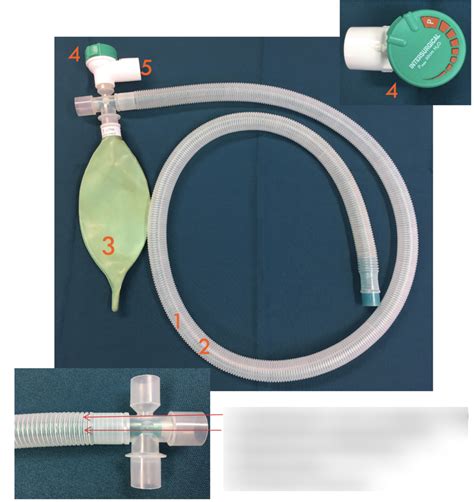 Diagram Of Components Of Non Rebreathing Circuit Quizlet
