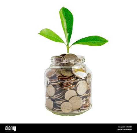 Green Leaf Plant On Save Money Coins Business Finance Saving Banking