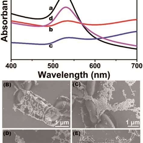 Feasibility Evaluation Of The Proposed Colorimetric Method A Download Scientific Diagram