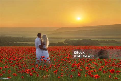 사랑하는 부부는 숲과 산 위의 밝은 일몰과 놀라운 봄 양귀비 필드에서 낭만적 인 데이트 중에 서로 를 껴안습니다 야생 자연 수평 배경에 있는 사람들 걷기에 대한 스톡 사진