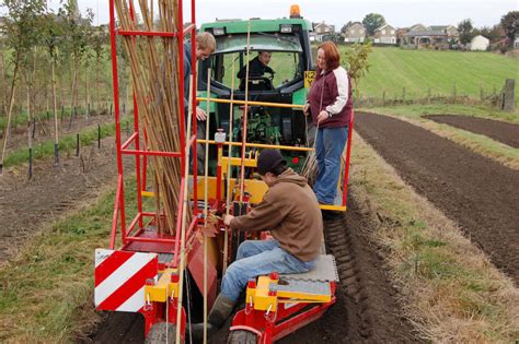 Tree Planting At Beardsworths Nurseries And Garden Centre