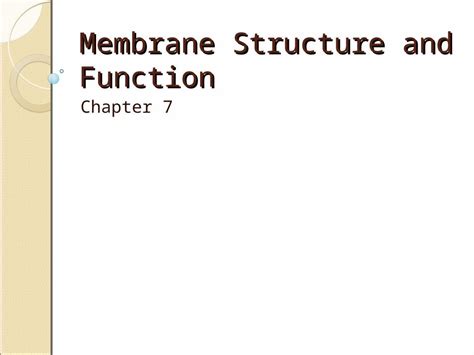 PPT Membrane Structure And Function Chapter What Is The Function Of The Plasma Membrane
