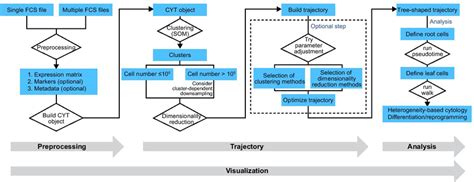 Of The Analysis Workflow Of Cytotree Summary Of The Cytotree Workflow Download Scientific