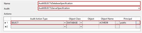 Auditing Select Statements On Sql Server