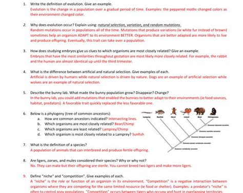 Unlocking The Patterns Of Natural Selection Worksheet Find The Answers