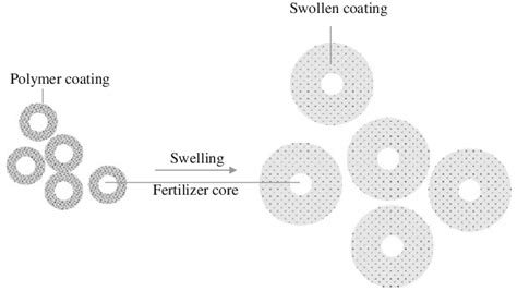 A Typical NPK Controlled Release Fertilizer System With Core Shell Download Scientific Diagram