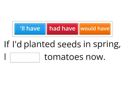 3rd And Mixed Conditionals Test 2 Complete The Sentence
