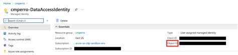 External Adls Storage Account Access In Cdp Public Cloudera