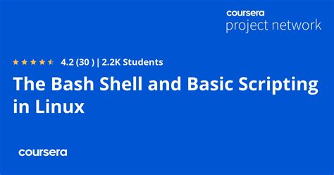 The Bash Shell And Basic Scripting In Linux