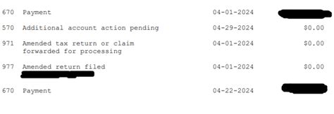 Transcript Only Shows Payment For Amended Return R Irs