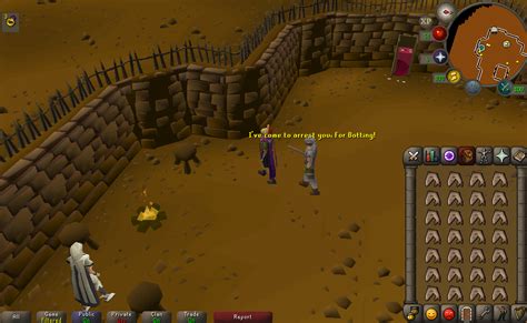 Jagex Bot Detection System Seen In Game [image] R 2007scape