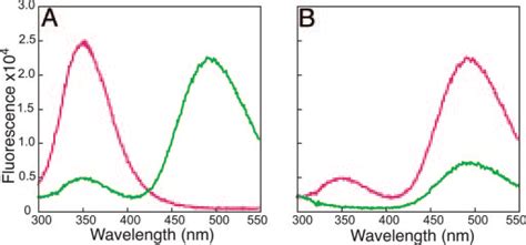 The Subunit Interface Of Pcna The Residues Located At The Interfacial Download Scientific
