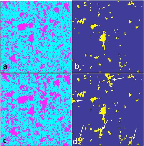 two successive iterations of the model s dynamics of a and c the