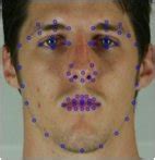 A Sample Of Face And Facial Feature Detection B Vertex Mesh Download Scientific Diagram