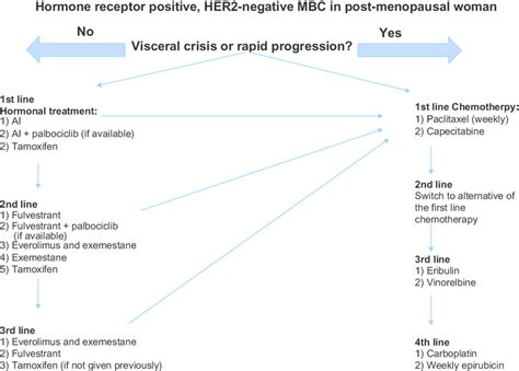 A Diagram Illustrating The Lines Of Treatment In Metastatic Hormone Download Scientific Diagram