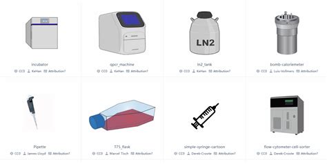 绝美！一个使用率很高的、非常实用的免费科学插图素材库 知乎