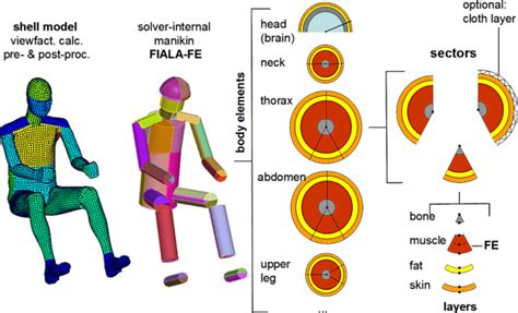 Human Thermal Model Thermal Comfort Model Fiala Fe