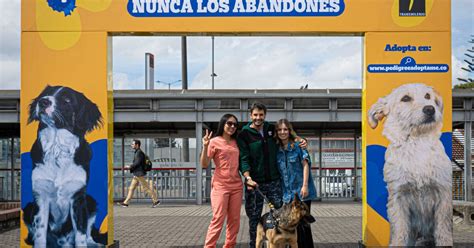 Su Hogar Eres Tú Nunca Los Abandones Pedigree Y Transmilenio Unen Fuerzas Contra El Abandono
