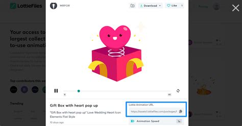 How To Add Lottie Animations In Wordpress 4 Simple Steps