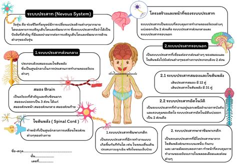ห้องเรียนพละของครูอ๋อมแอ๋ม ห้องเรียนพละของครูอ๋อมแอ๋ม