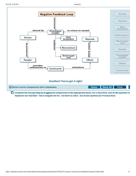 Negative Feedback System BIOL PM Homeo C Studocu