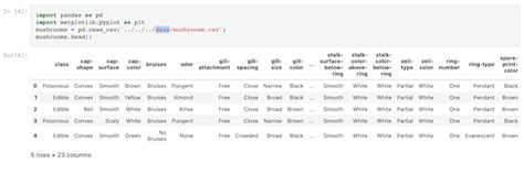 develop a data exploration notebook with python and pandas by jcfg dev fiverr