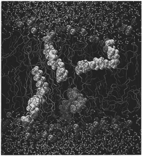 Endocannabinoid Binding To The Cannabinoid Receptors What Is Known And What Remains Unknown Pmc
