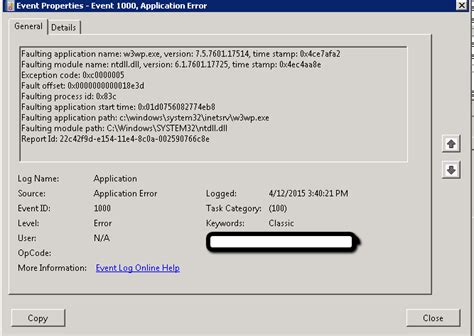 What Is This W3wpexe Error While Browsing The Website