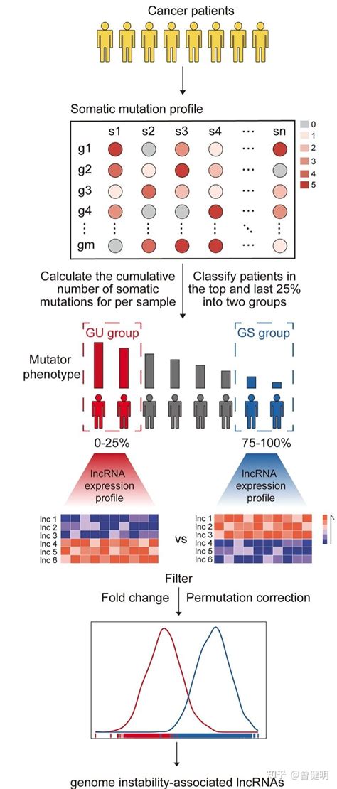 惊！量化肿瘤样品的基因组不稳定性靠的是突变数量？ 知乎